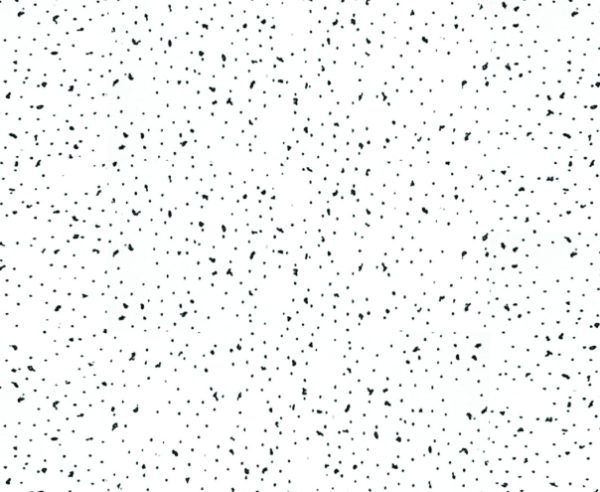 Fine Fissured - Renu NY